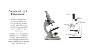 Techniques Used in Cell Biology by Naveed Ullah Marwat | PPT