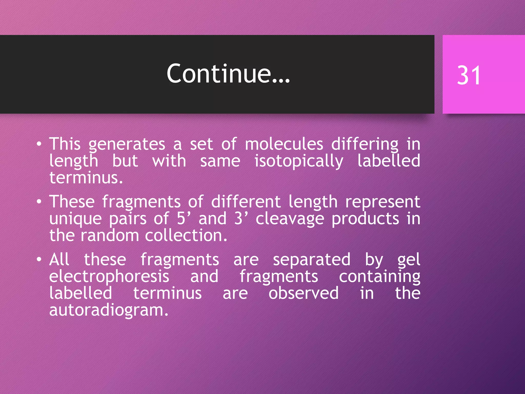 Techniques used in molecular biology | PPTX | Biological Sciences | Science