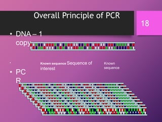 Techniques used in molecular biology | PPTX
