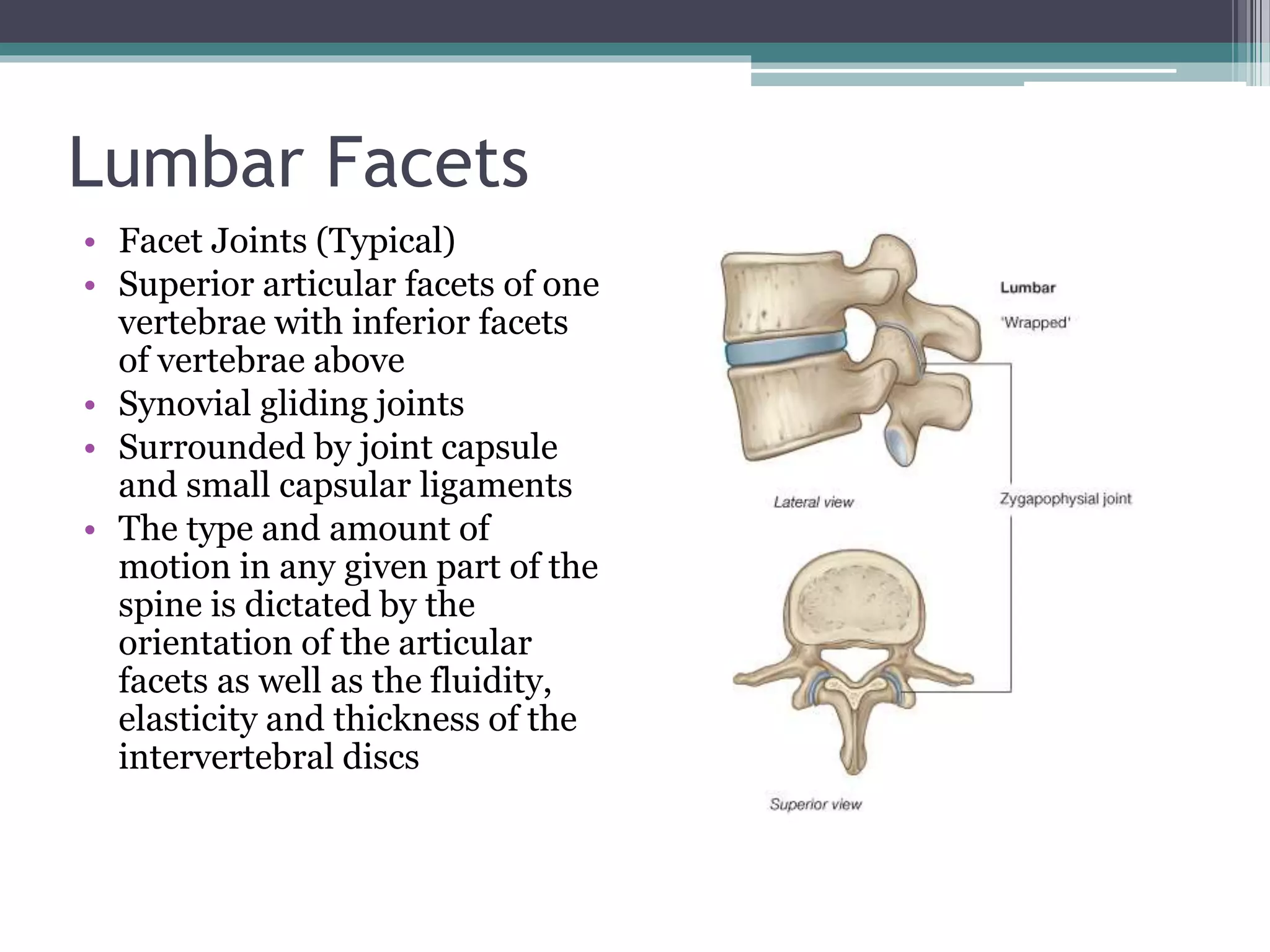 Technique transpedincular screw placement | PPTX
