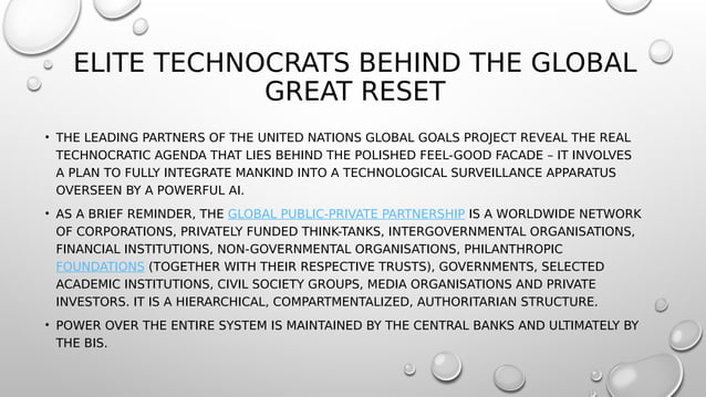 TECHNOCRATIC WIZARD.pdf