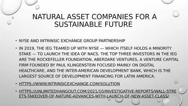 TECHNOCRATIC WIZARD.pdf