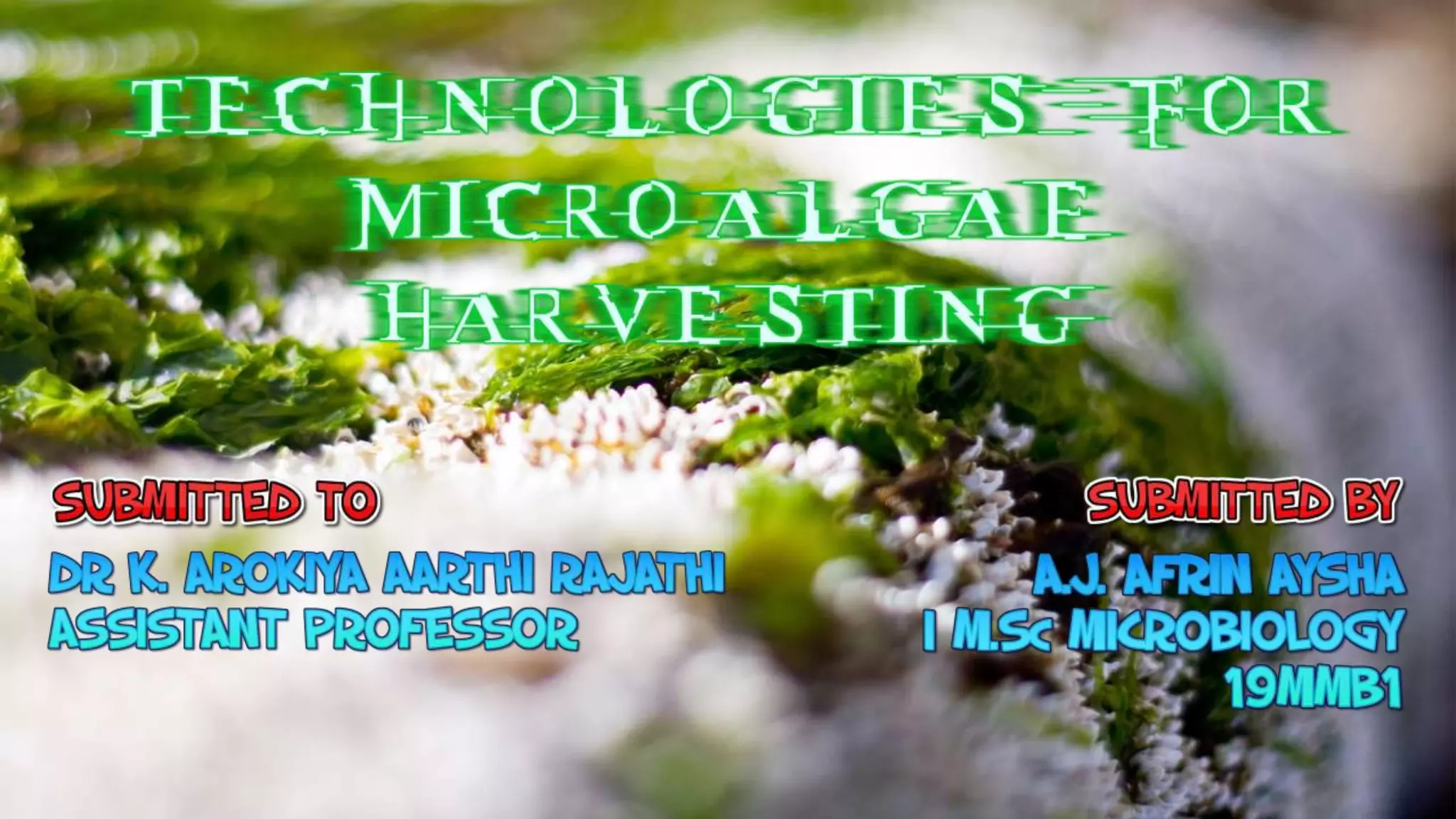Technologies for Microalgae Harvesting | PPTX