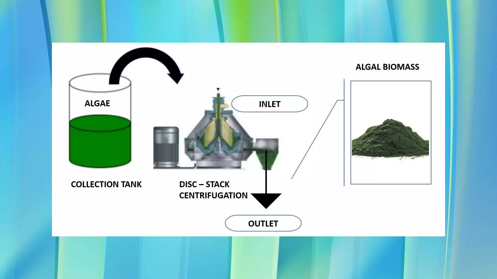 Technologies for Microalgae Harvesting | PPTX