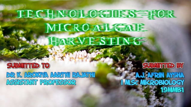 Technologies for Microalgae Harvesting | PPTX | Chemistry | Science