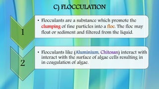 Technologies for Microalgae Harvesting | PPTX