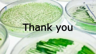 Technologies for Microalgae Harvesting | PPTX