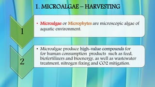Technologies for Microalgae Harvesting | PPTX