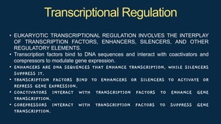 Eukaryotic Transcription | PPT