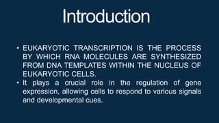 Eukaryotic Transcription | PPT