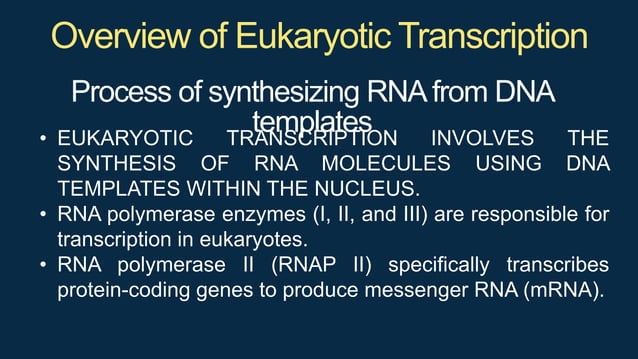 Eukaryotic Transcription | PPT