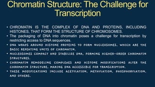 Eukaryotic Transcription | PPT