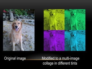 Technology based art - grade 10 -q2 | PPTX