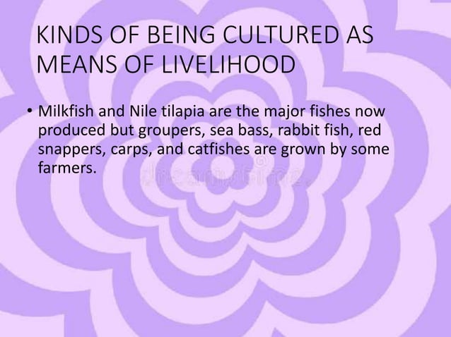 TECHNOLOGY-WPS Office.pptx