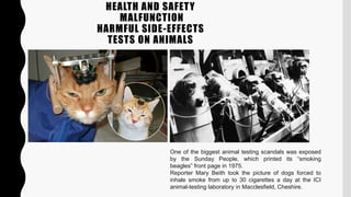 Technology and the human body temple | PPT