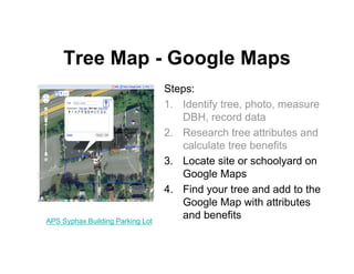 Technology and Trees.ppt