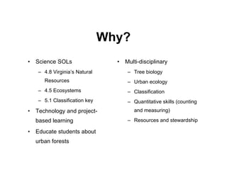 Technology And Trees.Ppt