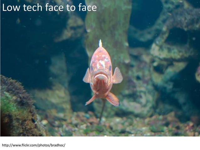 Technology enhanced learning activities | PPT