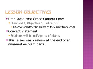 Plant Review Technology Lesson | PPT