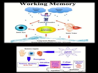 How Has Technology Reshaped Human Cognition | PPT