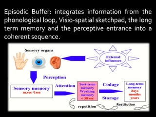 How Has Technology Reshaped Human Cognition | PPT