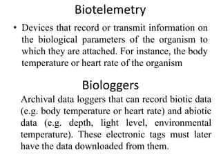 Technology in wildlife research | PPTX
