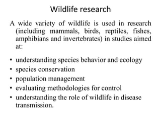 Technology in wildlife research | PPTX