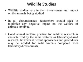 Technology in wildlife research | PPTX