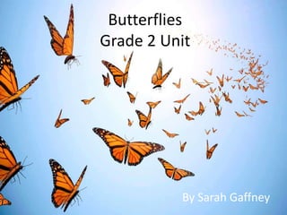 Technology Module on Butterflies | PPTX