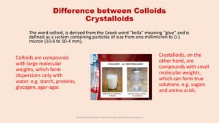 Technology of colloids in foods (part 1) | PPTX