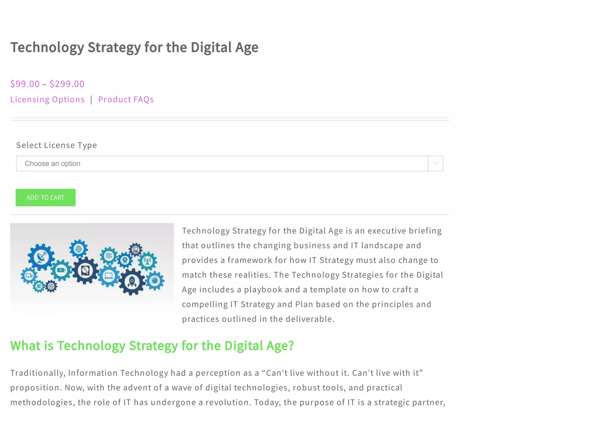 Technology Strategy for the Digital Age | PDF