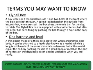 Technology system of FlyBall | PPT