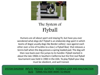 Technology system of FlyBall | PPT