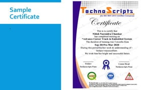 TechnoScripts Best Embedded system Course Training Institute in Pune | PDF