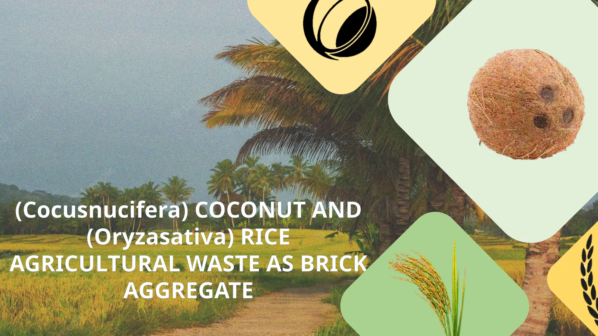 Coconut and rice agricultural waste as brick aggregate.pptx