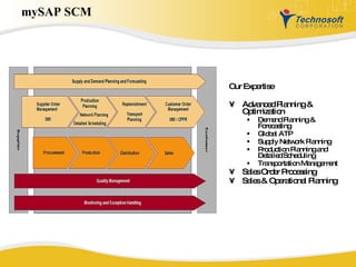 Technosoft SAP Expertise | PPT