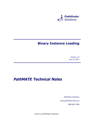 Binary Instance Loading | PDF