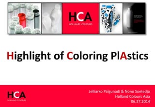 HCA - Customer Visit & Training | PPTX