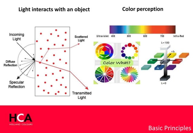 HCA - Customer Visit & Training | PPTX