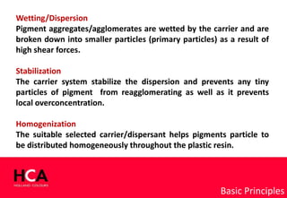 HCA - Customer Visit & Training | PPTX