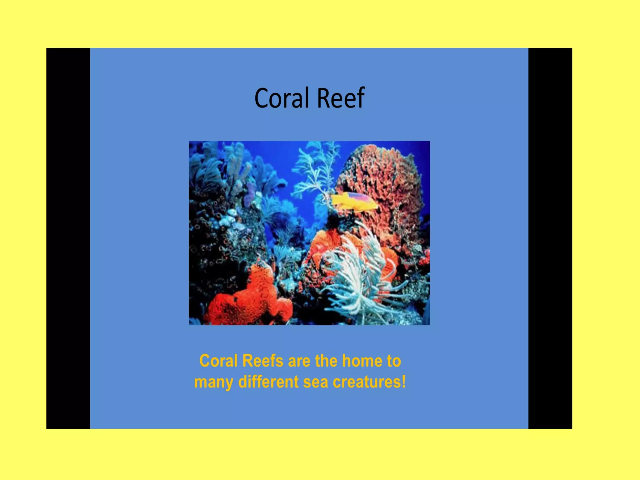 Guided Reading Presentation | PPT