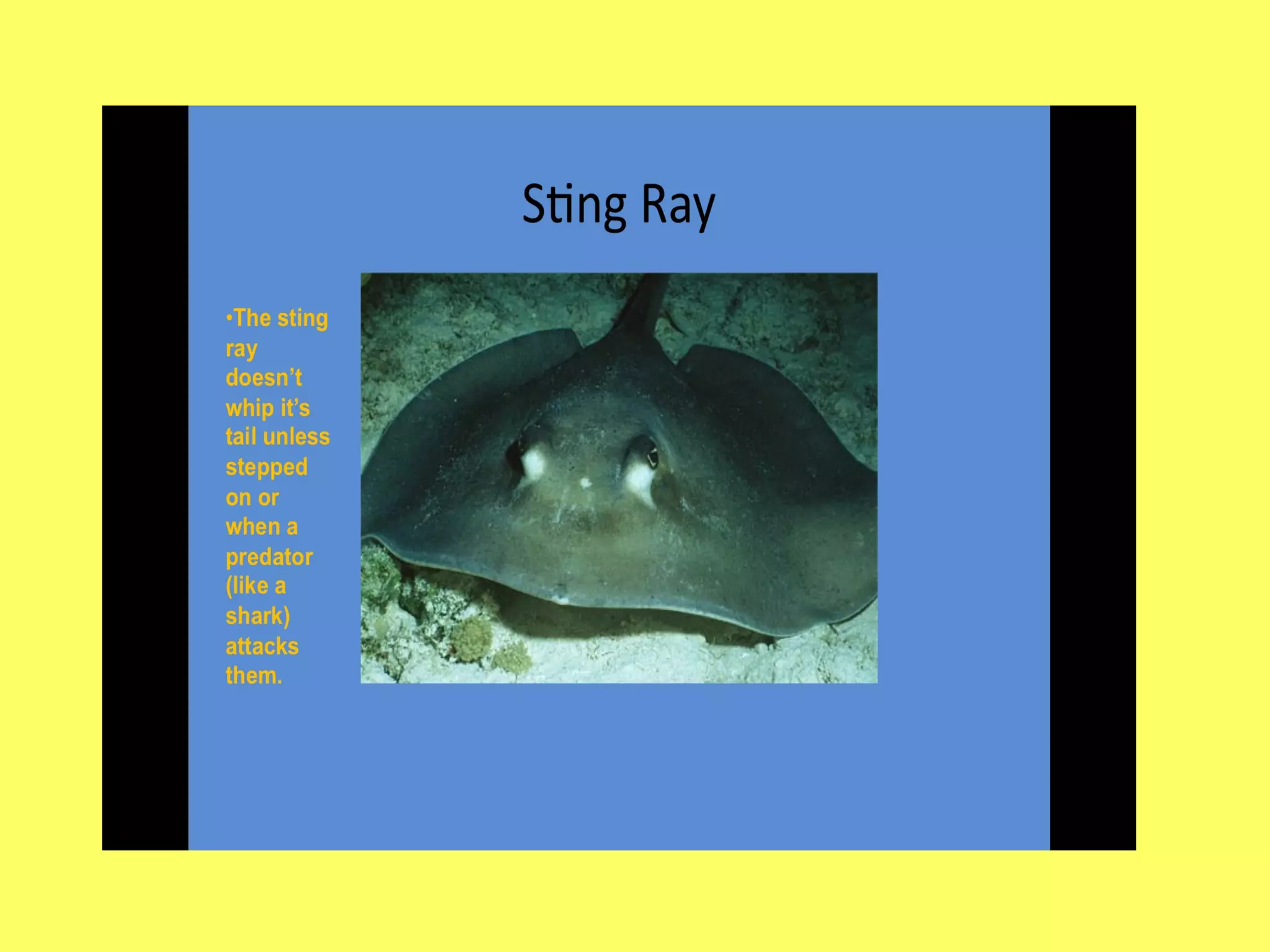 Guided Reading Presentation | PPT