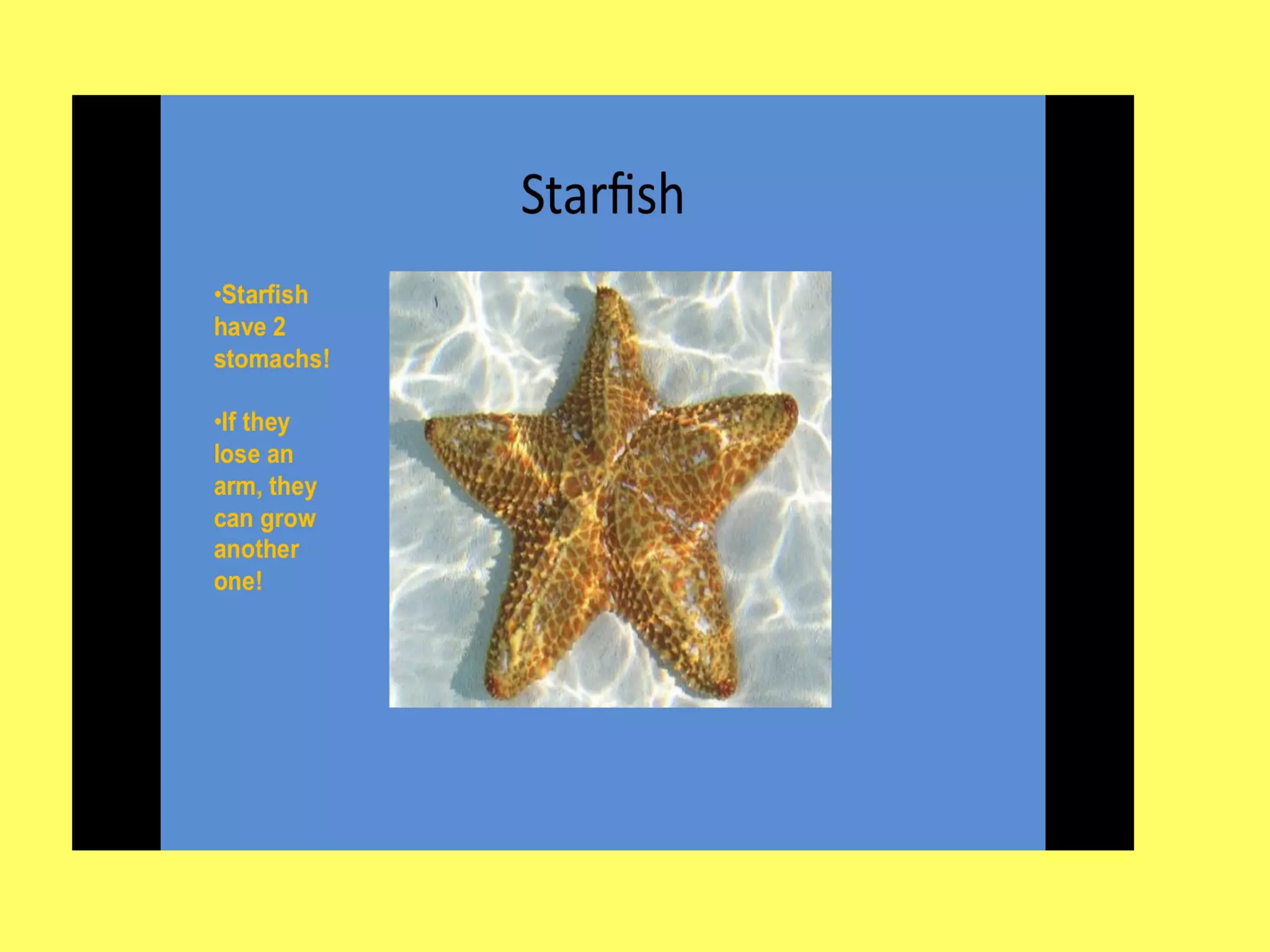 Guided Reading Presentation | PPT