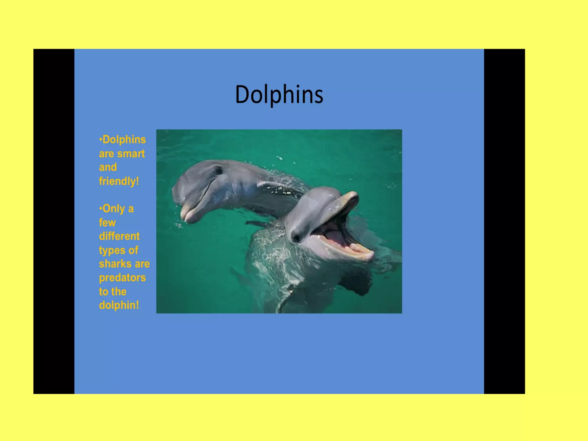 Guided Reading Presentation | PPT