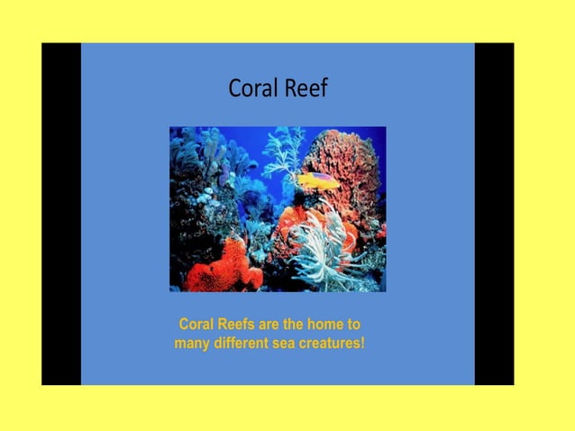 Guided Reading Presentation | PPT