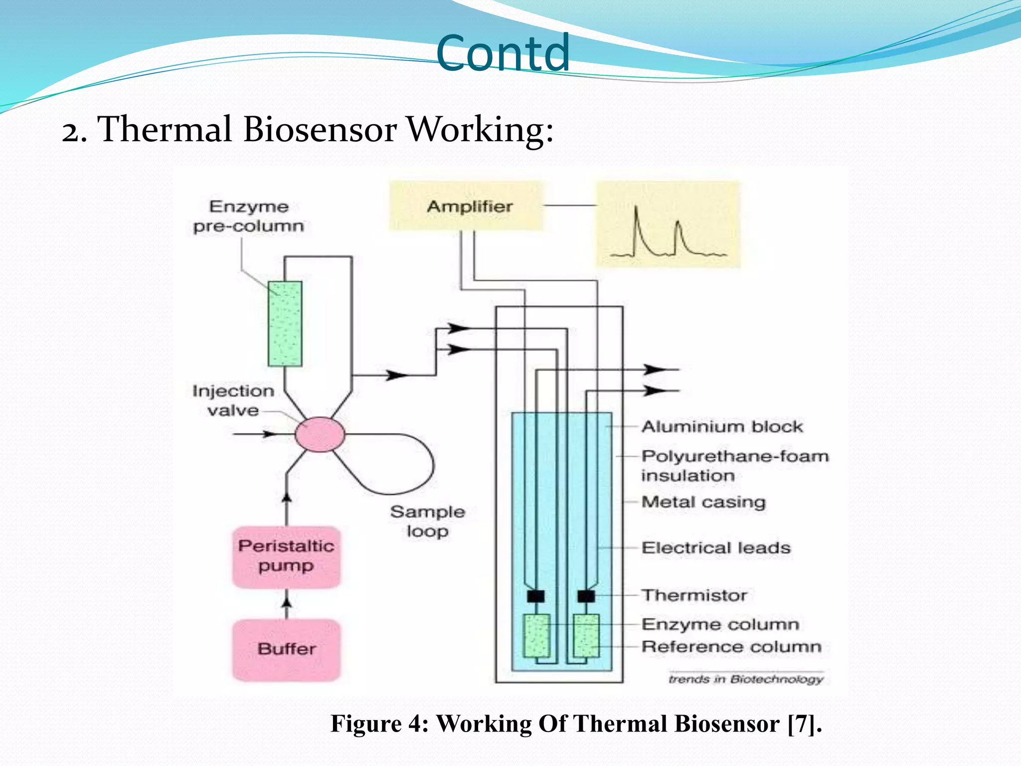 Biosensors Their Types Pptx