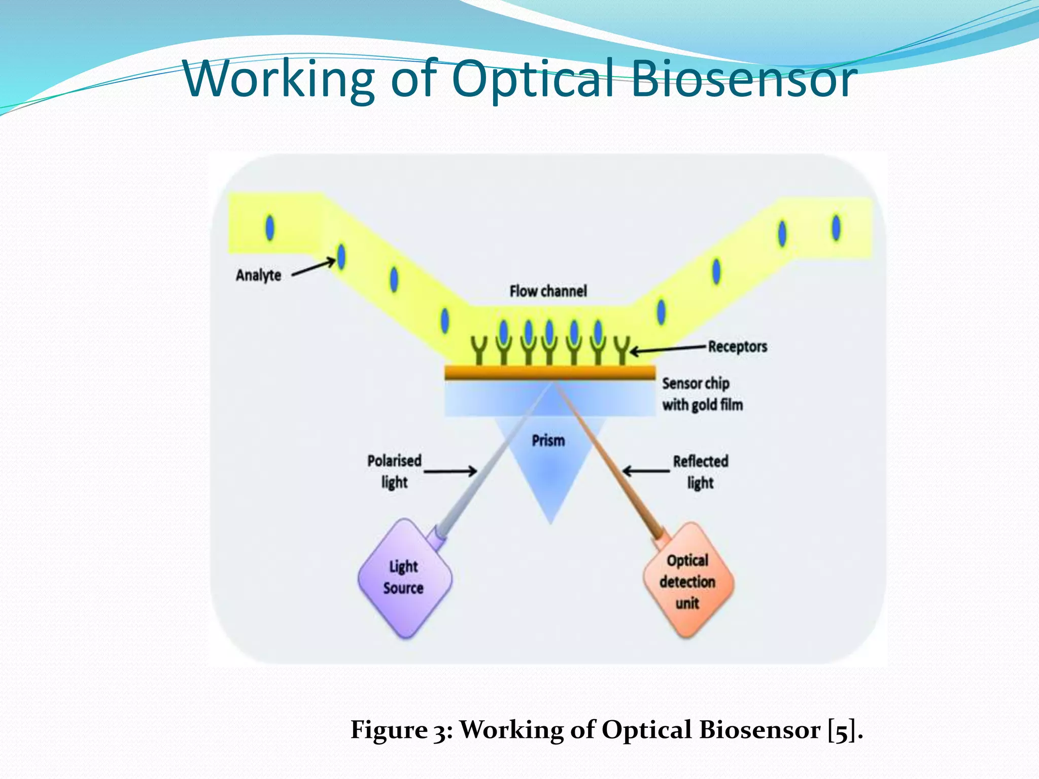 Biosensors: Their types | PPTX