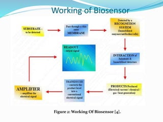 Biosensors: Their types | PPTX
