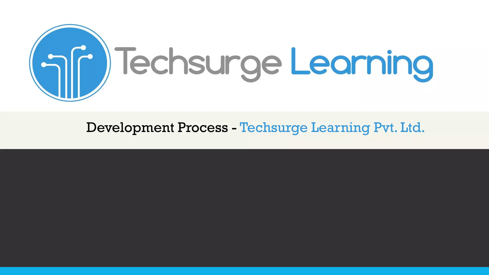 Techsurge Learning - Development Process.pdf