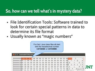Digging into File Formats: Poking around at data using file, DROID ...